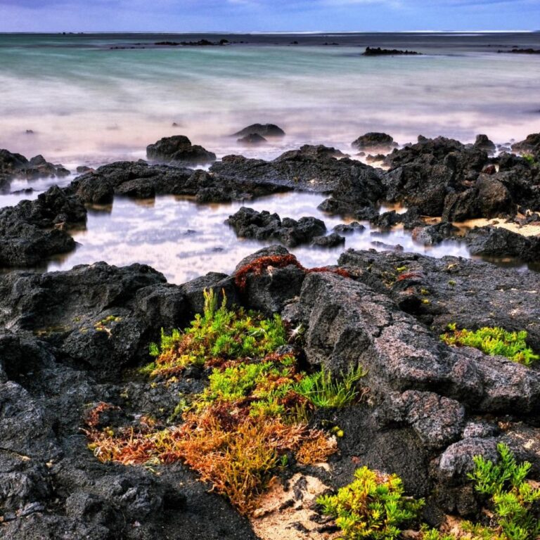 Lanzarote Weather December: What to Expect (Save the guide)